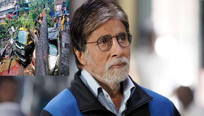 Amitabh Bachchan shares story of his house Prateeksha and the tree ...
