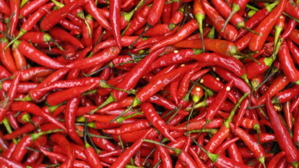 Health Benefits of Consuming Red Chillies Regularly | Red Chilly ...