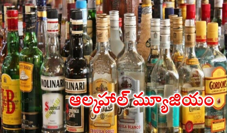 India's First Ever Museum Dedicated To Alcohol Opens Up In Goa | గోవాలో ...