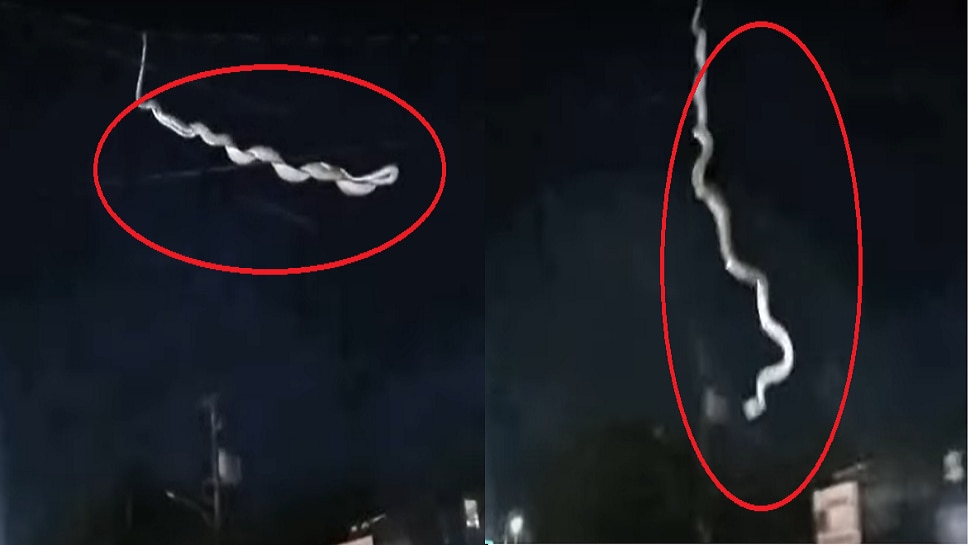 huge snake hanging cables wires in the air and falls ground in ...