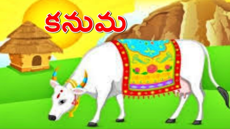 significance of kanuma festival | కనుమ పండుగ విశిష్టత ఆధ్యాత్మికం News ...