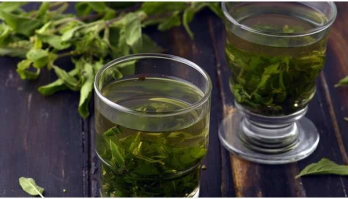 Know the benefits of tulsi water, best health tips to check health ...