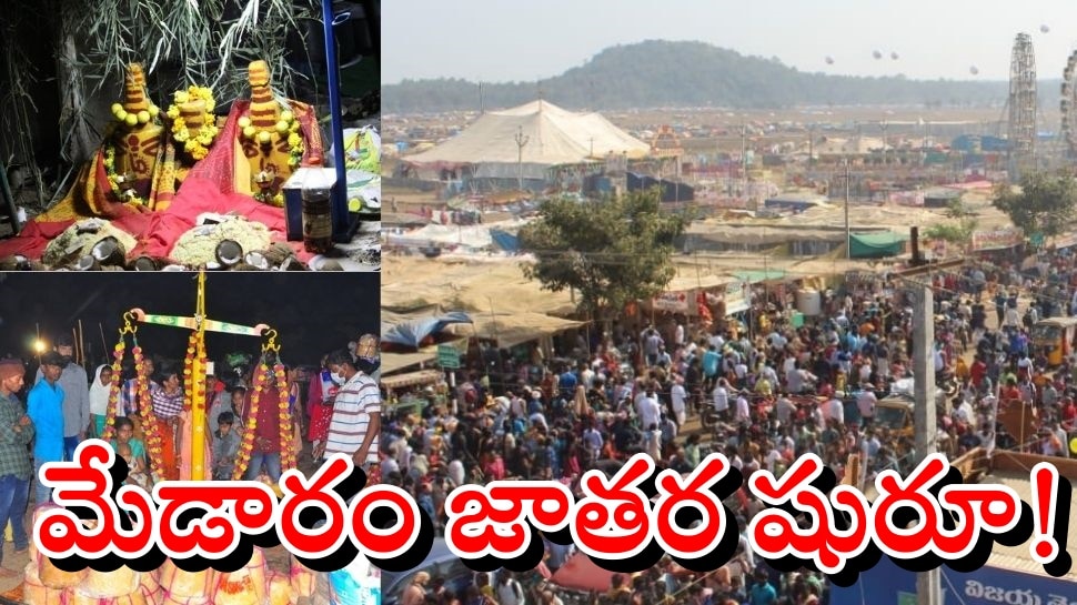 Medaram Jatara: Medaram Sammakka Saralamma Jatara started from today ...