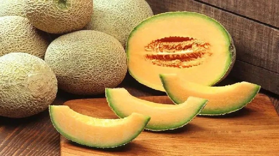 Muskmelon Health Benefits Kharbuja Helpful To Check Cancer And Other