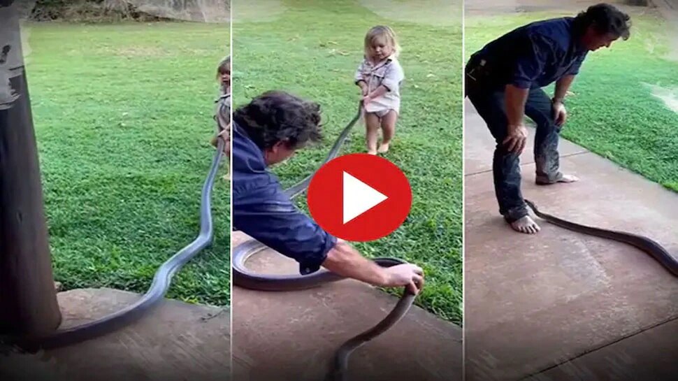 A small baby playing with a Giant Snake holding its tail Viral Video ...