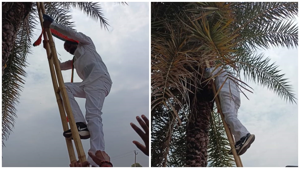 Bandi sanjay climb Palm tree, Photos goes viral | Bandi sanjay: ఈత ...