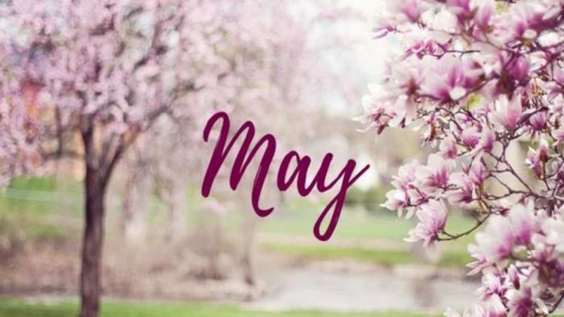 People Born In May Are Very Attractive Girls Are Very Successful In ...