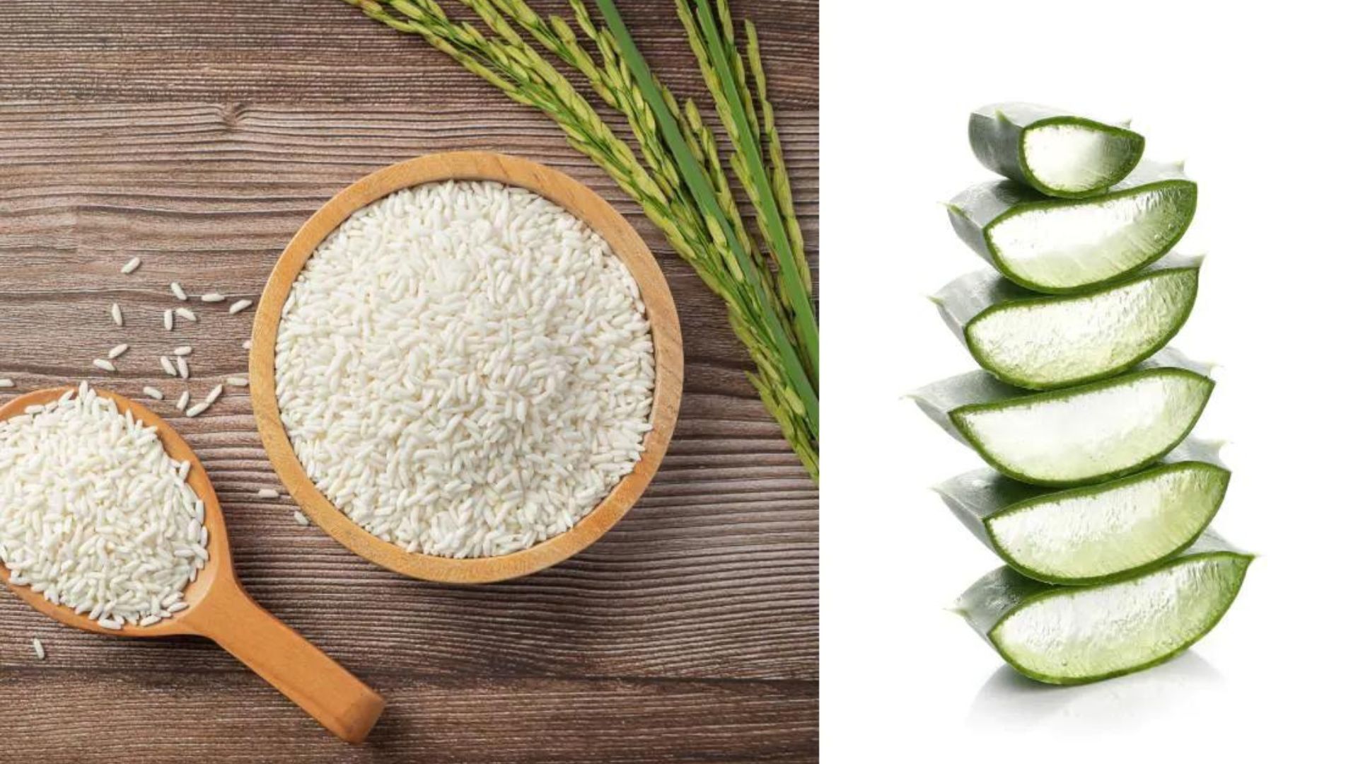These Are The Benefits Of Aloe Vera And Rice Water To The Skin In ...