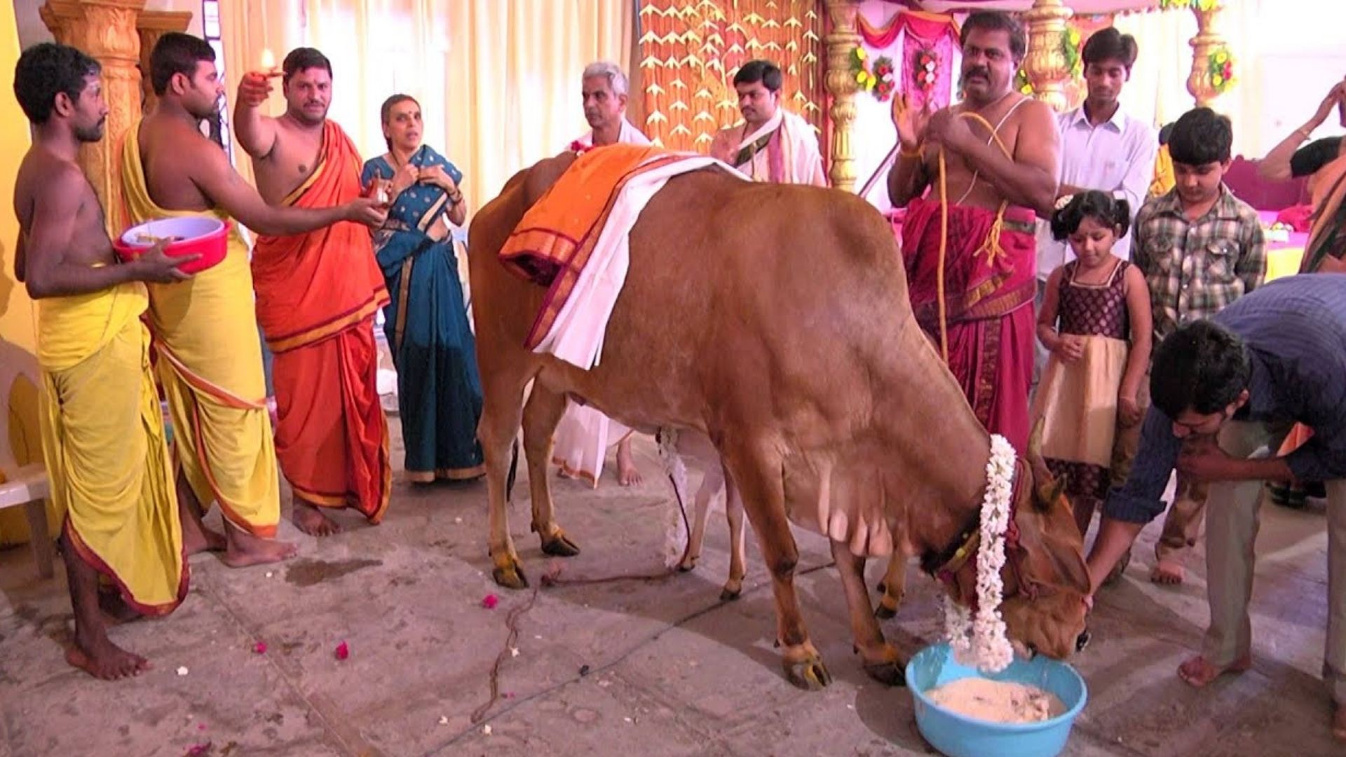 Gomatha Pooja These Benefits Are Obtained If The Cow Is Fed Jaggery ...