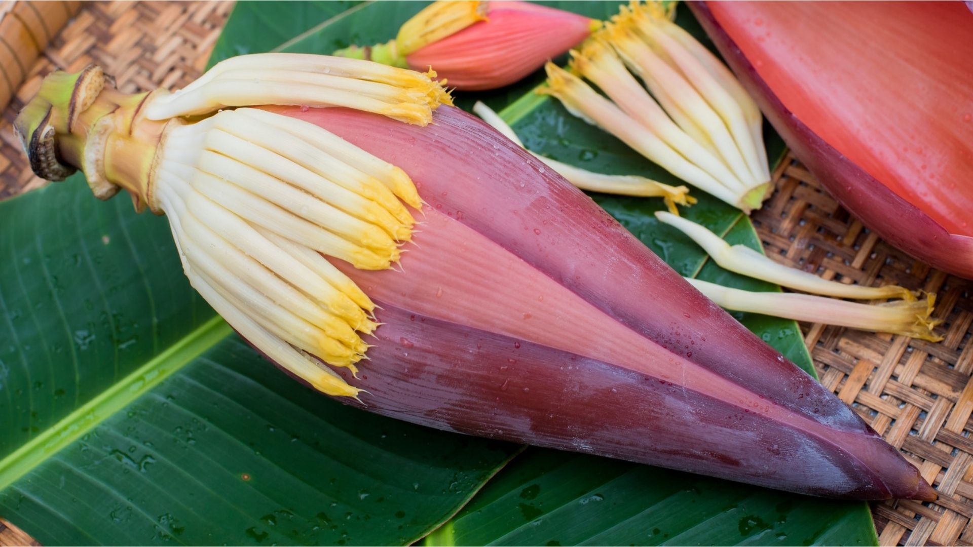 Banana Flower: Suffering From Anemia Get Relief With Banana Flower ...