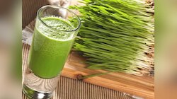 Wheat Grass Side Affects News in Telugu, Latest Wheat Grass Side ...