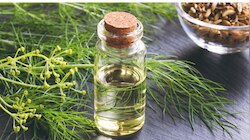 Fennel seed News in Telugu, Latest Fennel seed news, photos, videos ...