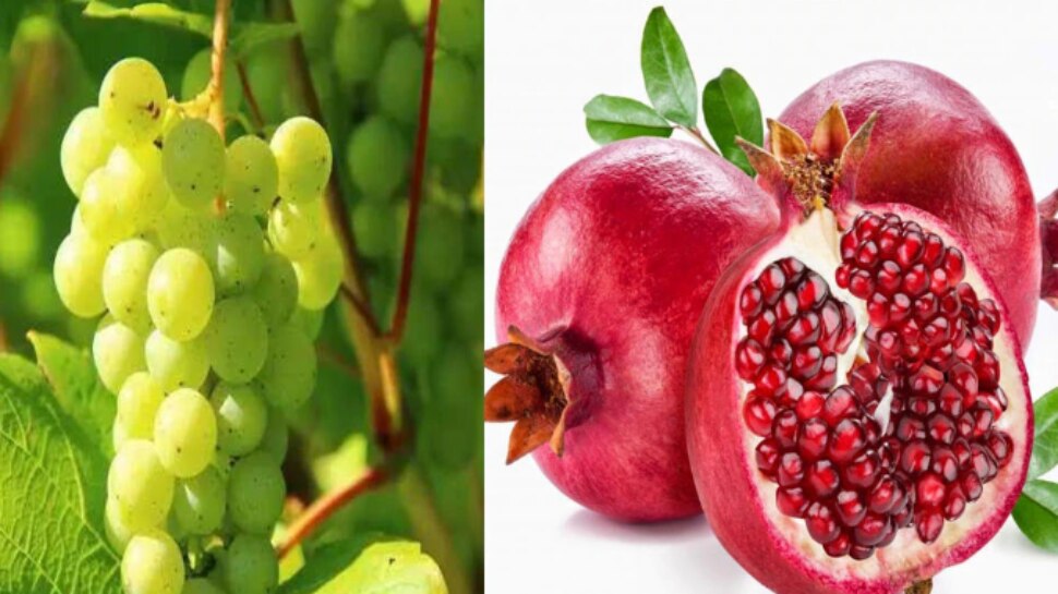 Blood Increasing Fruit: Load Up on these 2 Fruits to Boost Your ...