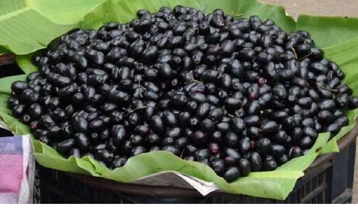 Jamun Health Benefits, can we take water immediately after eating jamun ...