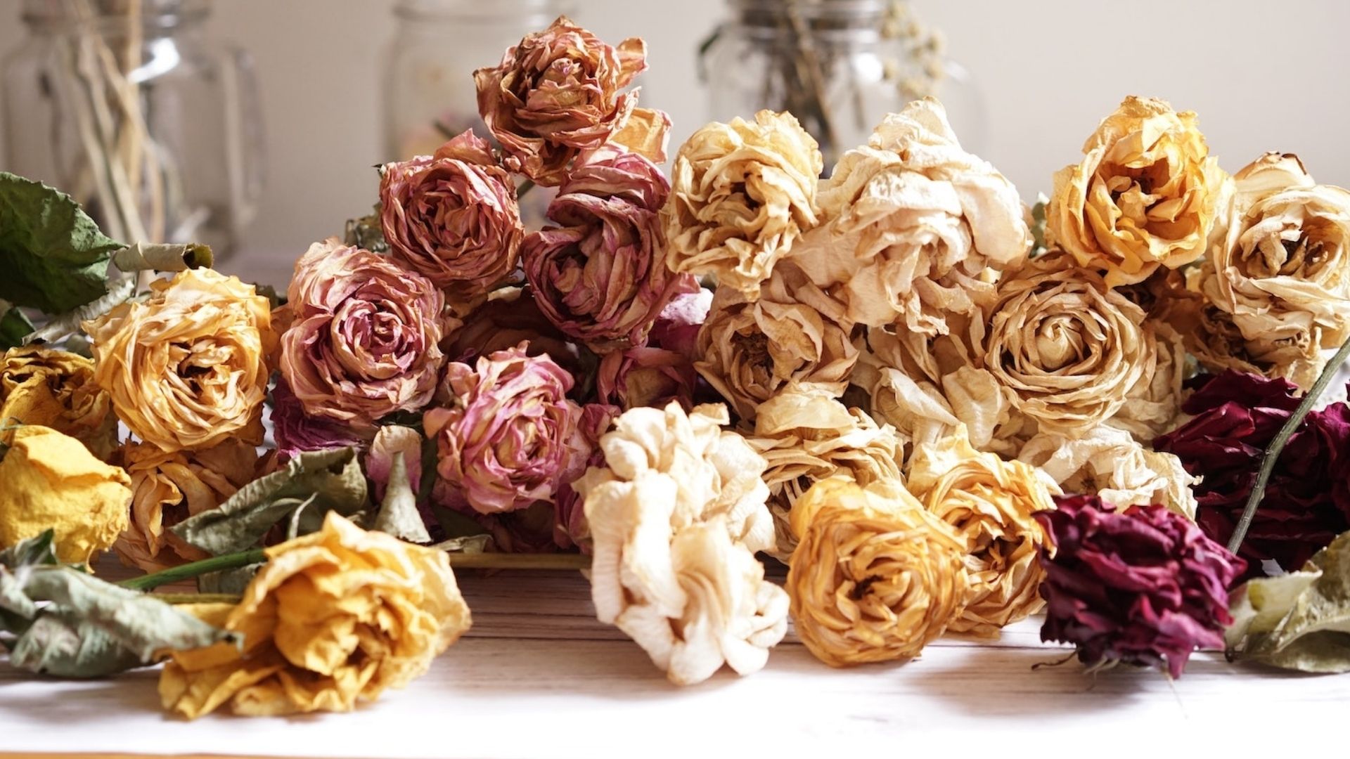 Vastu Tips: The Flowers Planted By God Should Be Removed Soon Otherwise ...
