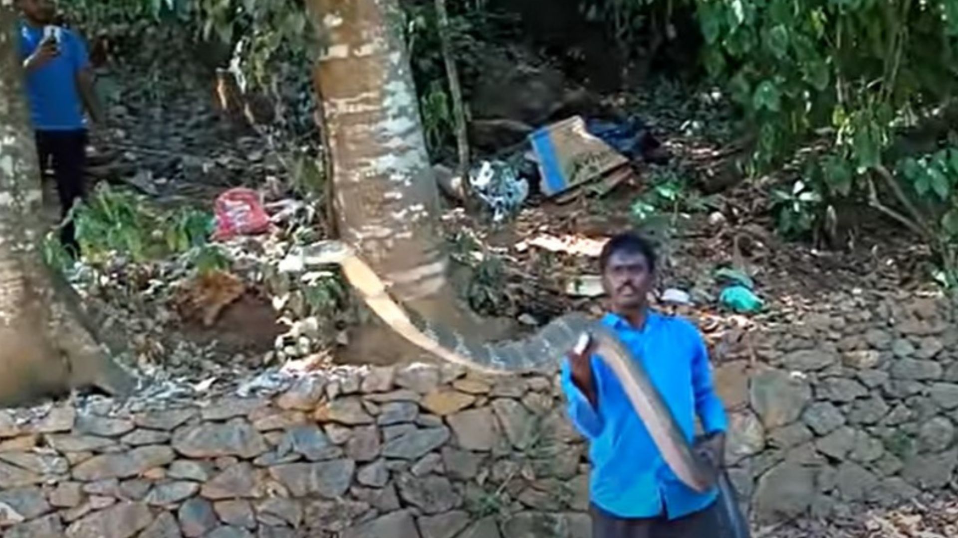 King Cobra Man Viral Video: Snake Catcher Vava Suresh caught and ...