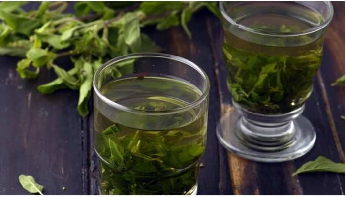 Ayurvedic health benefits and tips with tulsi water, how to control ...