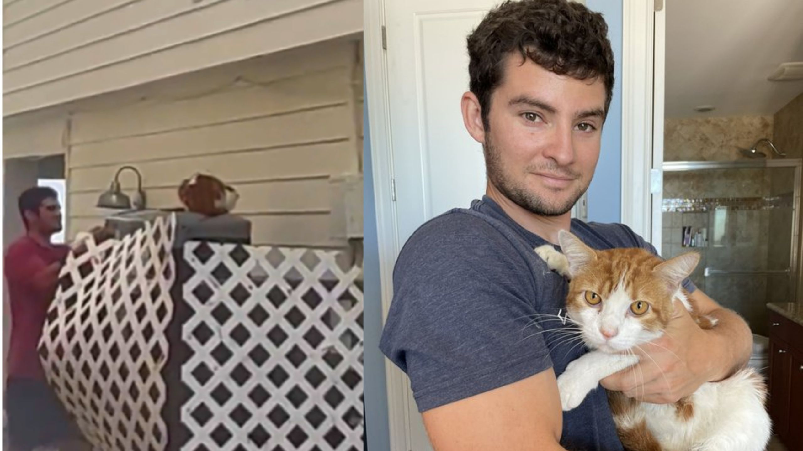 Man Saves Cat Viral Video: Man Saves His Pet Cat Video has Got 3 ...