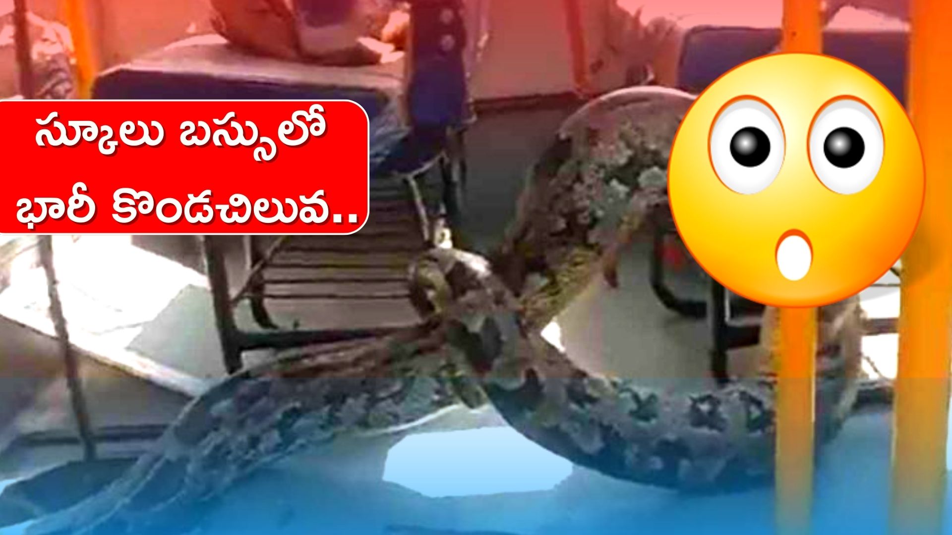 Python Viral Video A Big Python Entered In School Bus At Uttar Pradesh Up Python Video Viral
