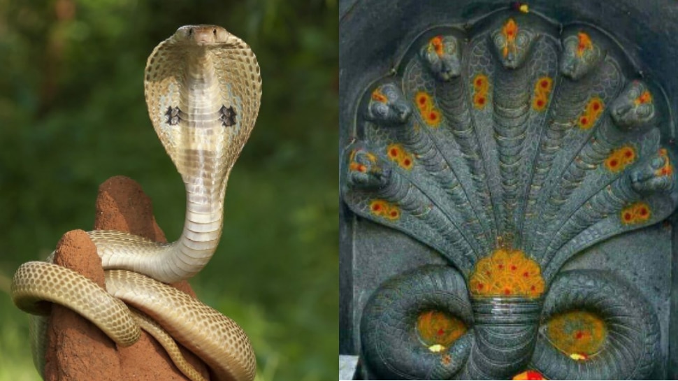 Nagula Chaviti on 29th October 2022: Puja vidhanam and Significance ...