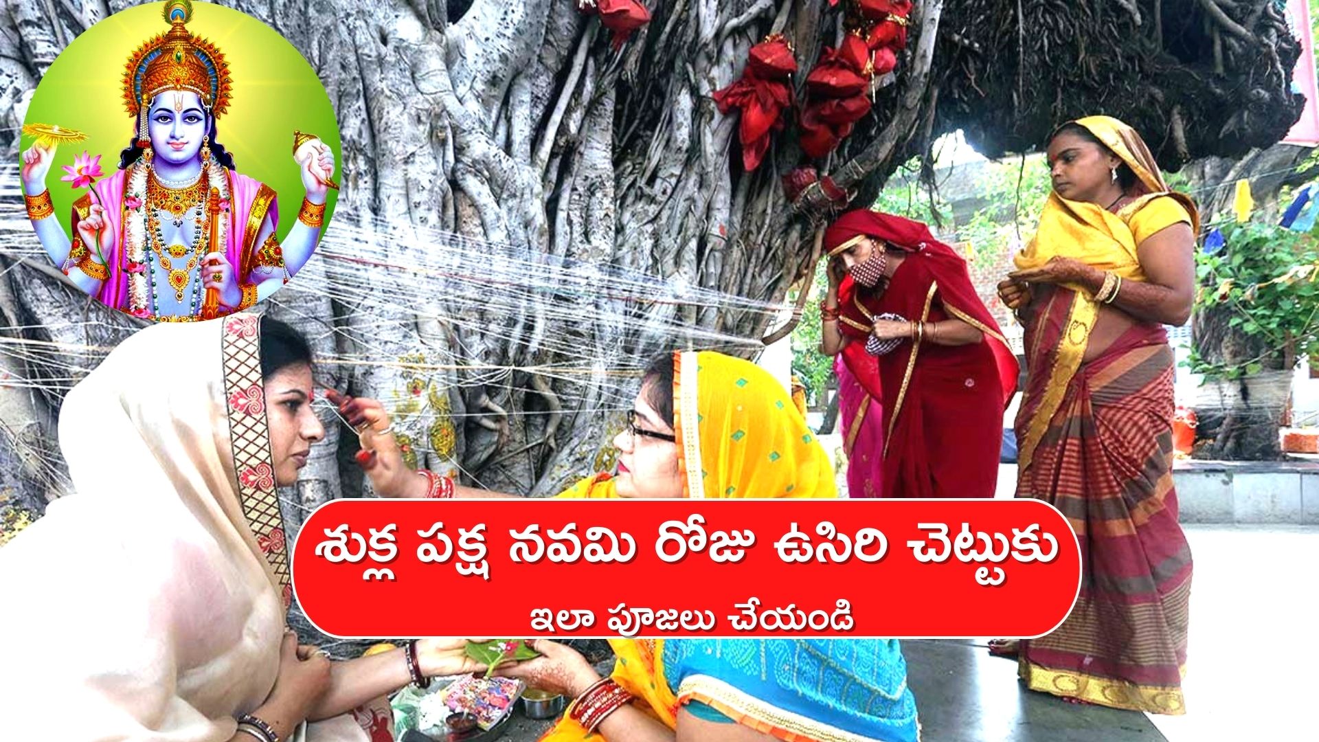 Amla Navami 2022 Date And Time: If You Worship Amla Tree On Shukla ...