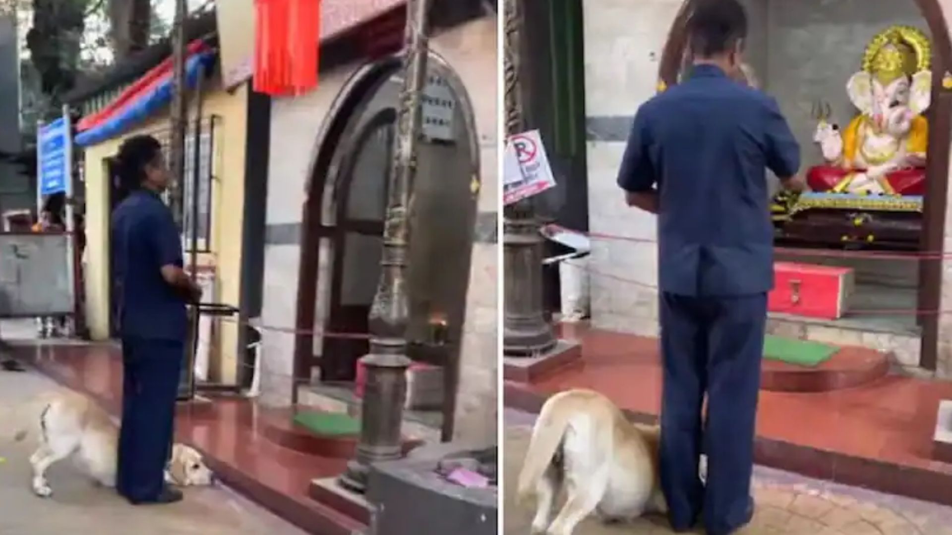 Dog Lord Ganesh Viral Video: Dog prays Lord Ganesha like a man, Today ...