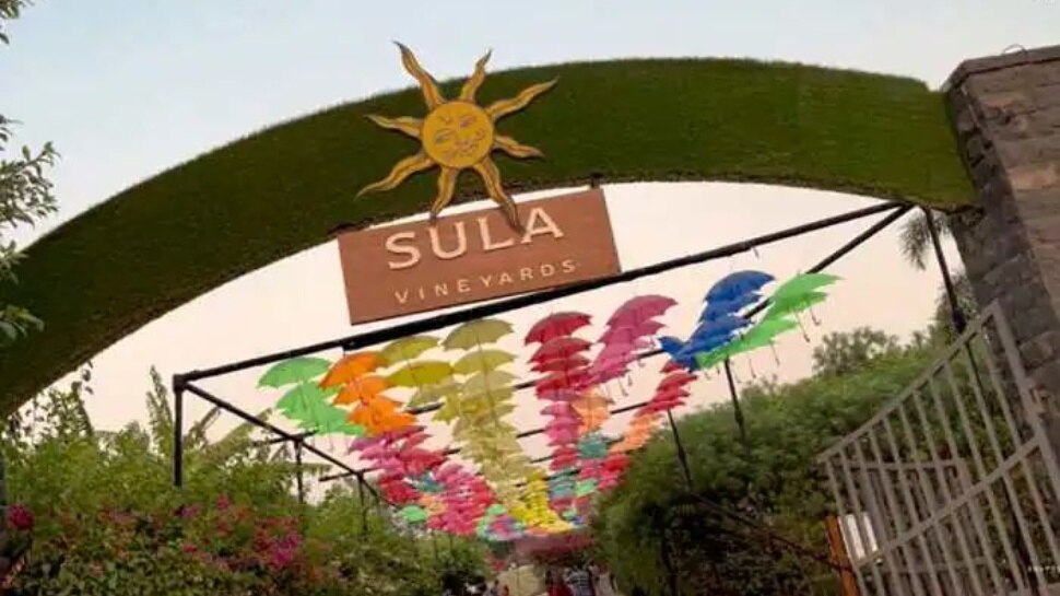 Sula Vineyards IPO opens today should you subscribe india leading wine ...