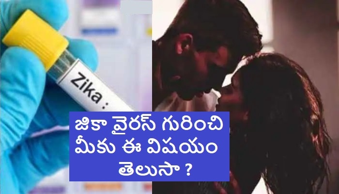 Zika Virus Symptoms, Does Zika Virus transmits through unprotected intercourse : కండోమ్ లేకుండా ...