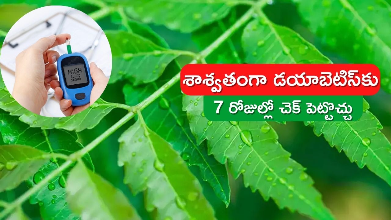 Diabetes And Neem Leaves: Eating Neem Leaves Every Day Control Diabetes ... Diabetes And Neem Leaves: Eating Neem Leaves Every Day Control Diabetes ...