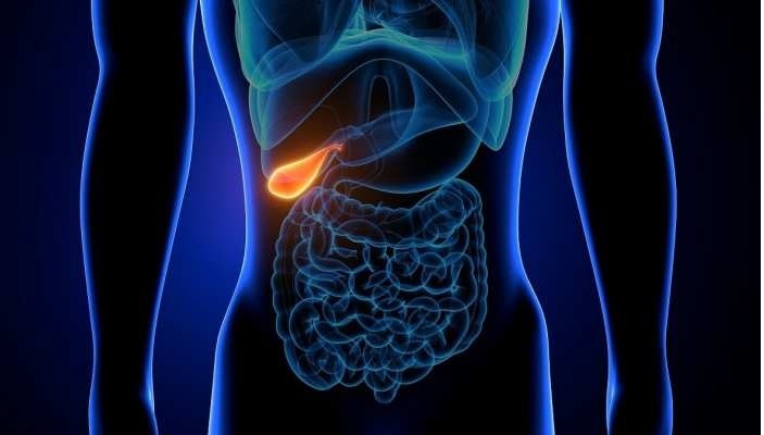Health precautions of stones in body, which parts of the body may ...