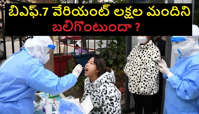 Coronavirus BF.7 variant cases in india and China, omicron BF.7 variant ...