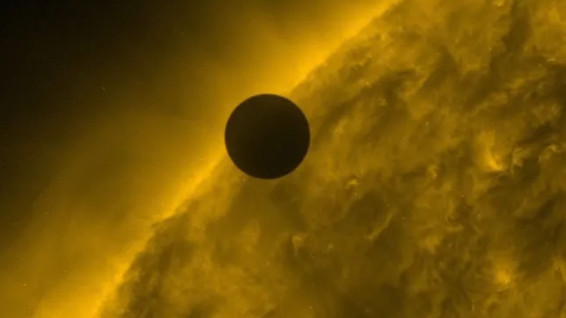 These 3 Zodiac Signs will success in Every Work due to Sun Planet ...