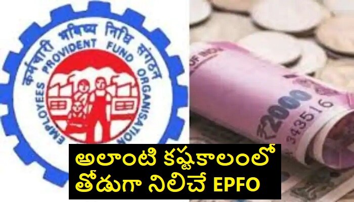 EPFO Benefits, EPFO subscribers, Life Insurance, EPF Money, EPFO ...