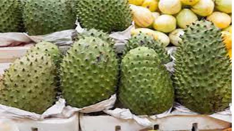 Health tips and precautions of cancer, diabetes, blood pressure and ...