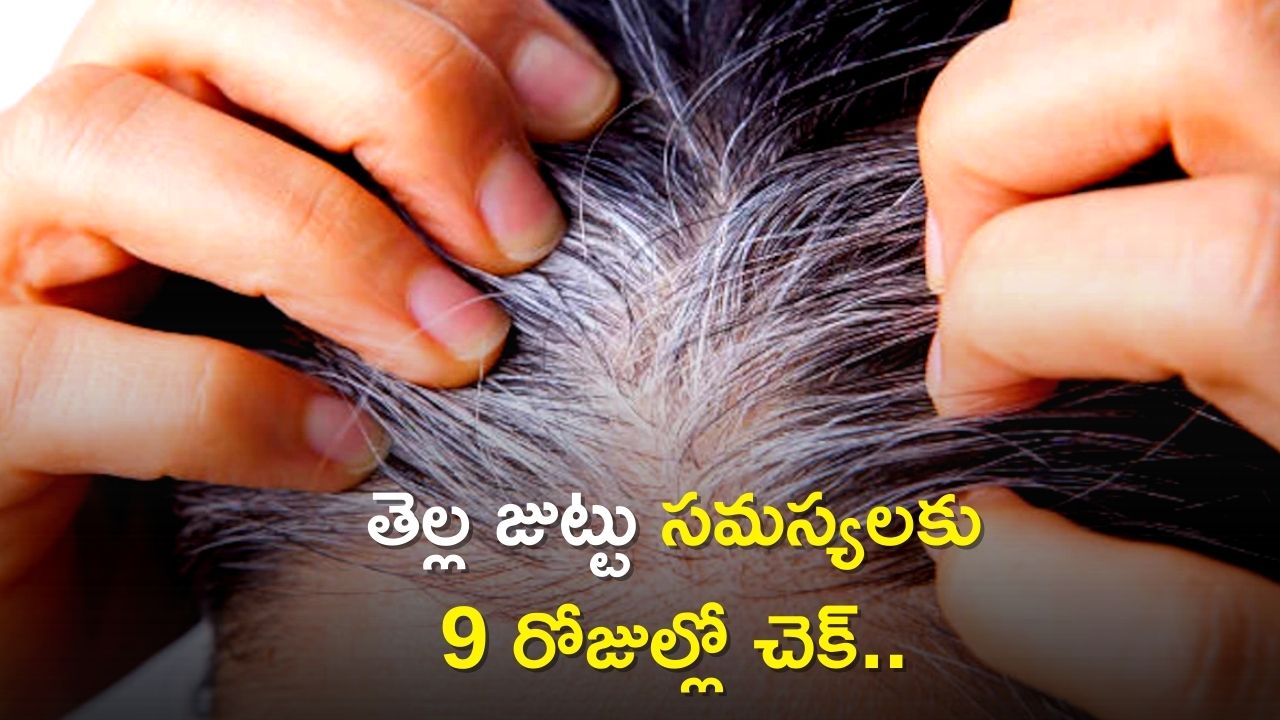 Premature White Hair Problem Solution: White Hair Turns Black Hair In 9 ...