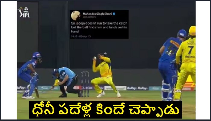 MS Dhoni 10 Year old tweet on jadeja goes viral after ravindra jadeja takes catch in MI Vs CSK ...