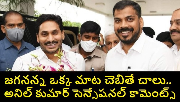 AP ex minister Anil Kumar Yadav sensational comments about nellore city mla ticket and ap cm ys ...