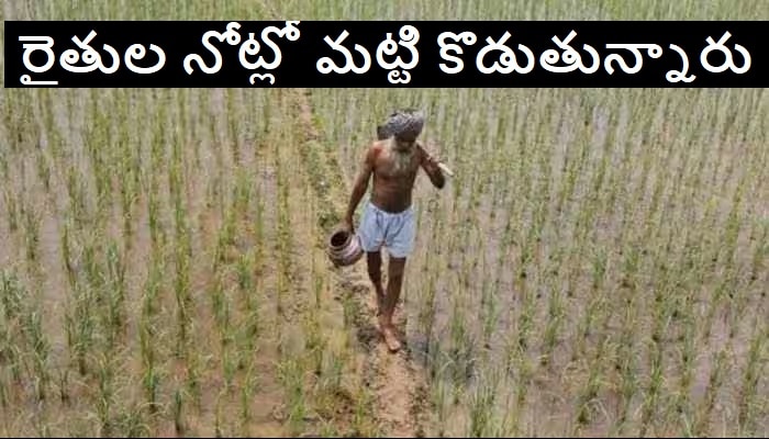 Fake seeds selling batches arrested by warangal police, seized fake ...
