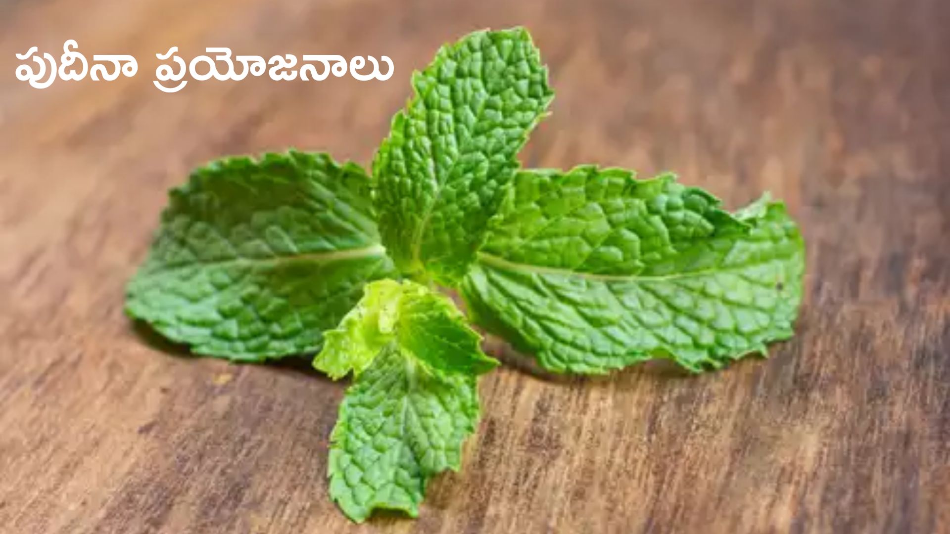 Health Benefits of Pudina leaves in Summer | బరువు, తలనొప్పి జీర్ణ ...