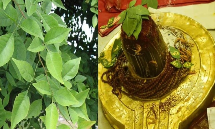 Sravana masam 2023 Date and timings, know the pooja time and how to ...