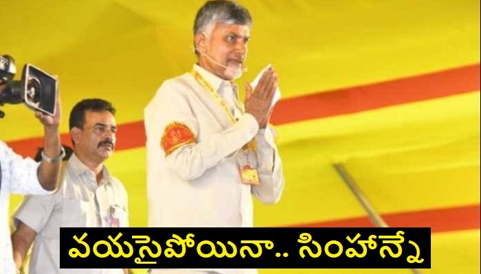 Chandrababu Pulivendula Tour: జగన్ ఇలాకాలో గర్జించిన చంద్రబాబు | ఏపీ ...