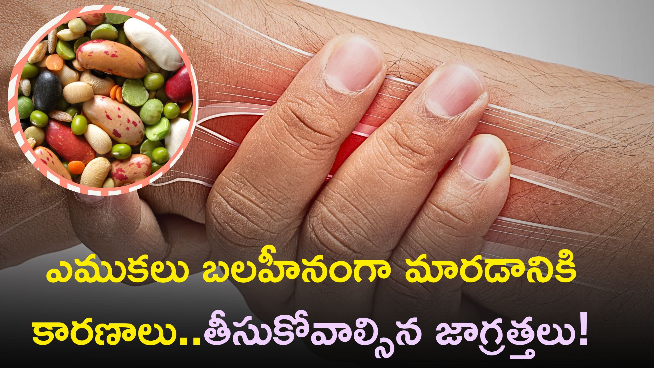 Main Reasons For Weak Bones 5 Foods To Eat To Reduce Weak Bones | Weak ...