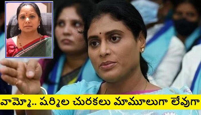 YS Sharmila takes a dig at BRS MLC Kalvakuntla Kavitha over womens reservation bill issue, YS ...