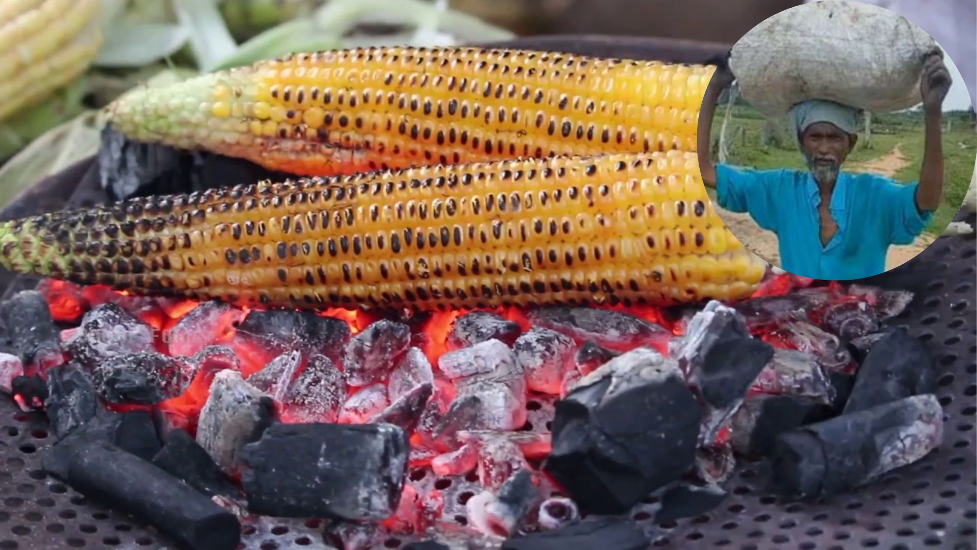 Sweet Corn: Using the same coal used for burning dead bodies to fry ...