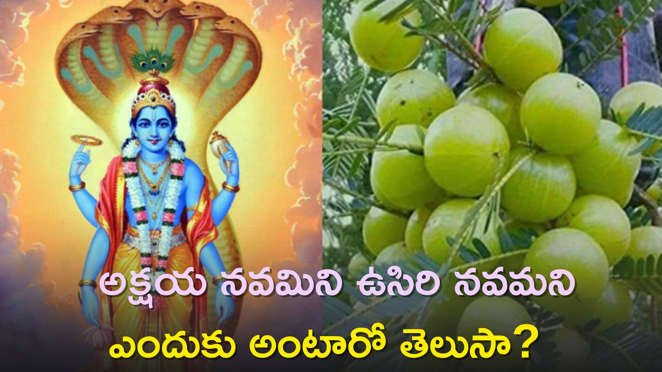 Do You Know Why Akshay Navami Is Called Amla Navami, Akshaya Navami ...