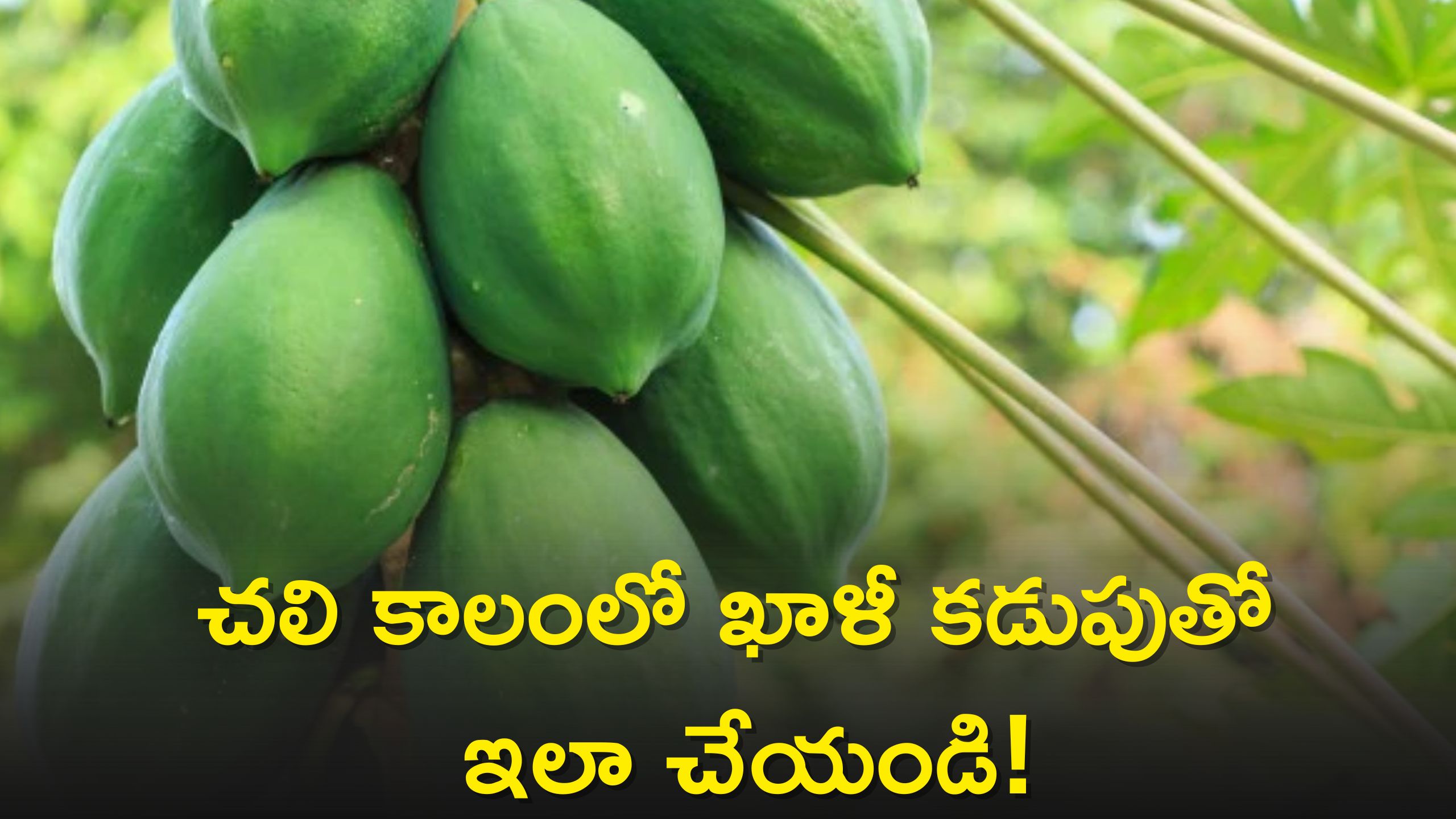 Eating Raw Papaya On An Empty Stomach During Cold Season Will Help You ... Eating Raw Papaya On An Empty Stomach During Cold Season Will Help You ...