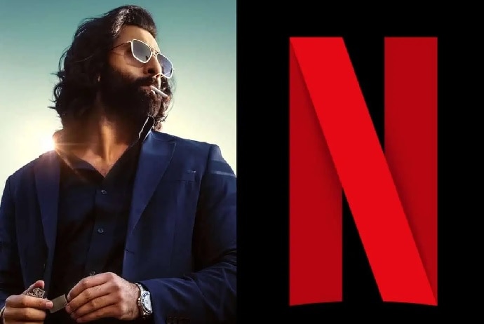 Bollywood superhit movie ranbir kapoor starred animal to stream in ...