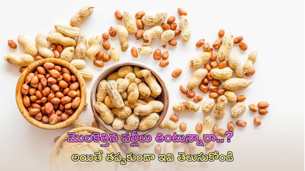 Benefits Of Eating Sprouted Peanuts Everyday In Your Daily Life Helps ...