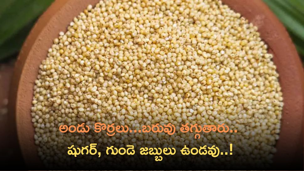 Andu Korralu Helps To Reduce Weight Loss, Maintain Blood Sugar And ...