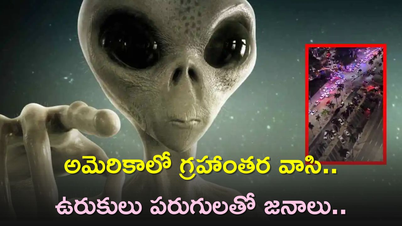 Google Trends 10-Foot Alien Video | Alien Viral Video: అమెరికాలో ...